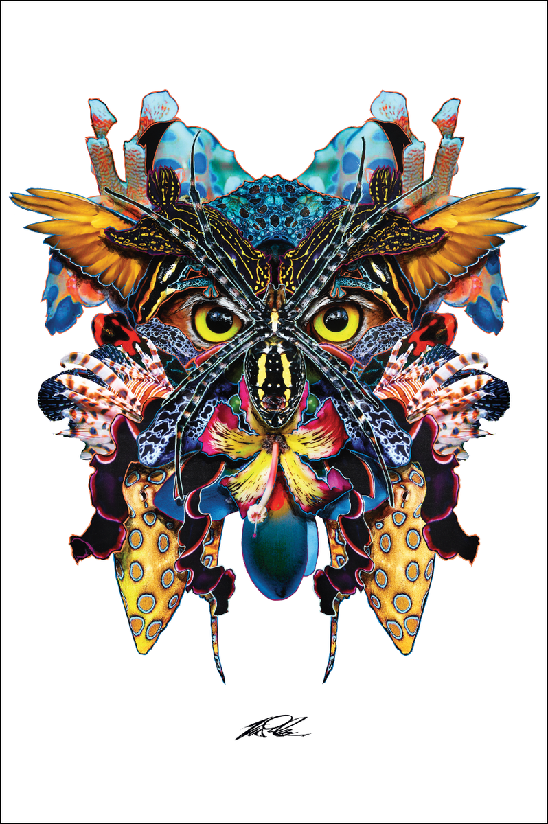 LIB ARCHIVE- SUPER CREATURE no.2 - ART PRINT – Mike Parillo Art