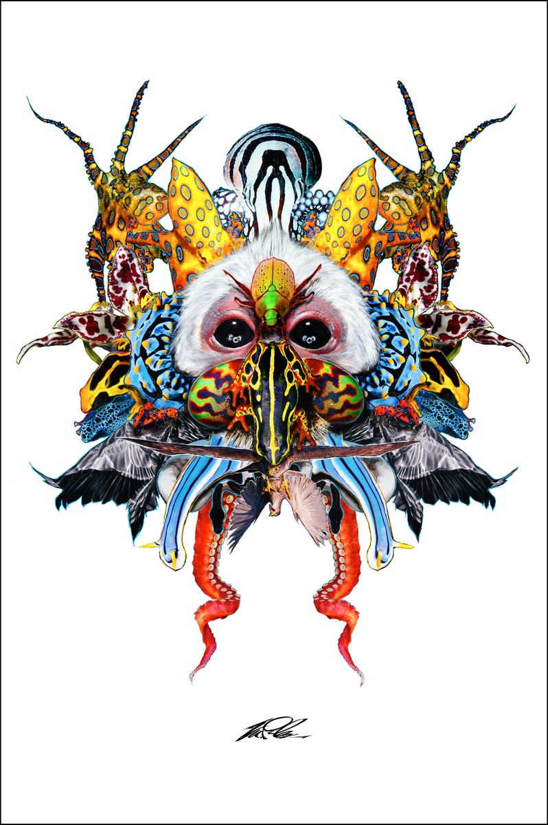 LIB ARCHIVE- SUPER CREATURE no.3 - ART PRINT – Mike Parillo Art